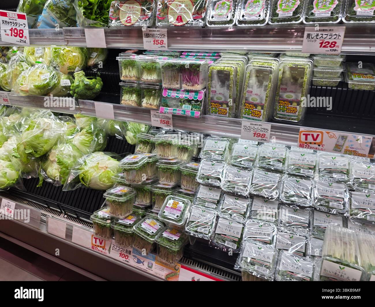 Inside of Japanese Elm Shopping Grocery Store Stock Photo - Alamy