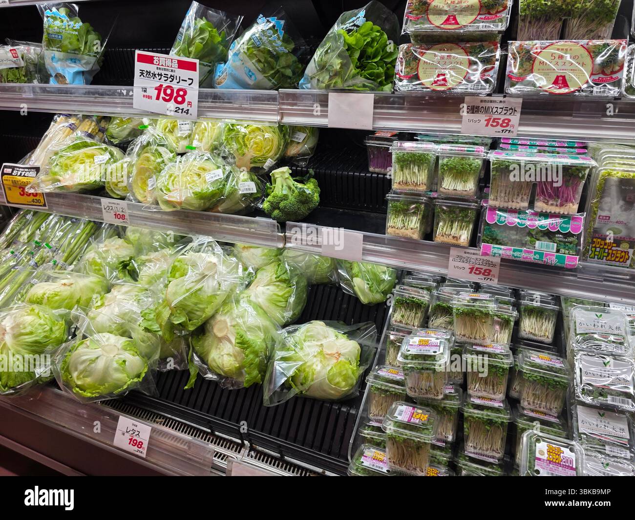 Inside of Japanese Elm Shopping Grocery Store Stock Photo - Alamy