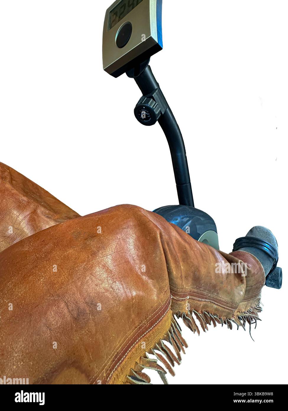 Western cowboy chaps are worn over legs when riding a horse. Image ...