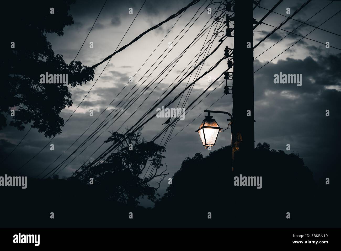 Street Lamp and Power Lines at Dusk in Brazil Stock Photo - Alamy