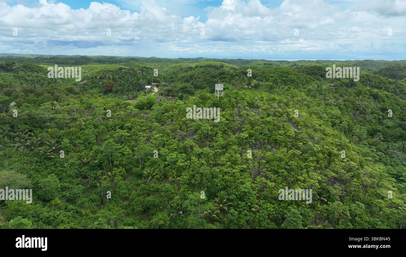 Tropical Cebu forest mountain drone aerial Philippines exotic ...