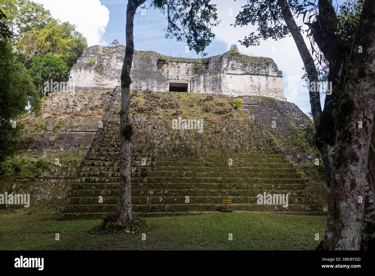 A visit at Tikal Archeological Site, Petén Region, Guatemala Stock ...