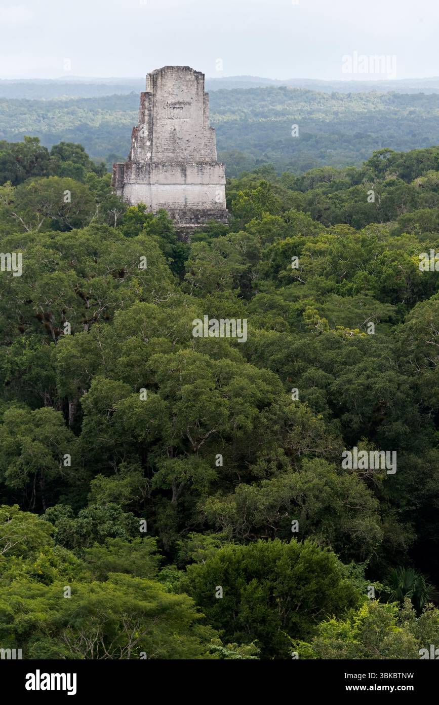 A visit at Tikal Archeological Site, Petén Region, Guatemala Stock ...
