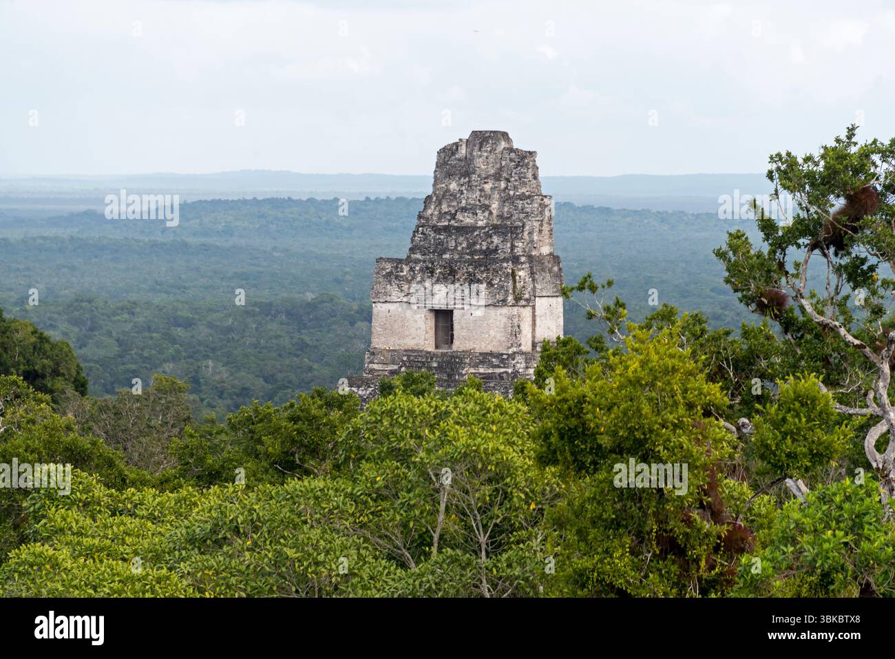 A visit at Tikal Archeological Site, Petén Region, Guatemala Stock ...