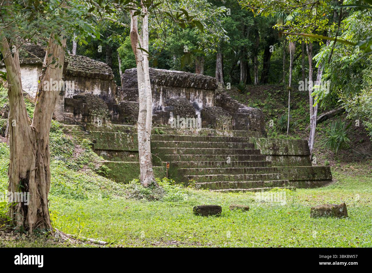 A visit at Tikal Archeological Site, Petén Region, Guatemala Stock ...