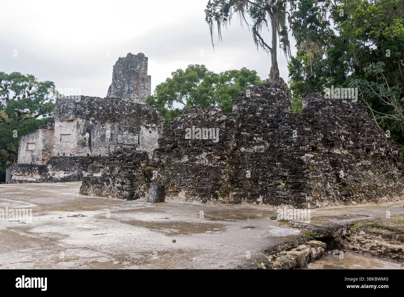 A visit at Tikal Archeological Site, Petén Region, Guatemala Stock ...
