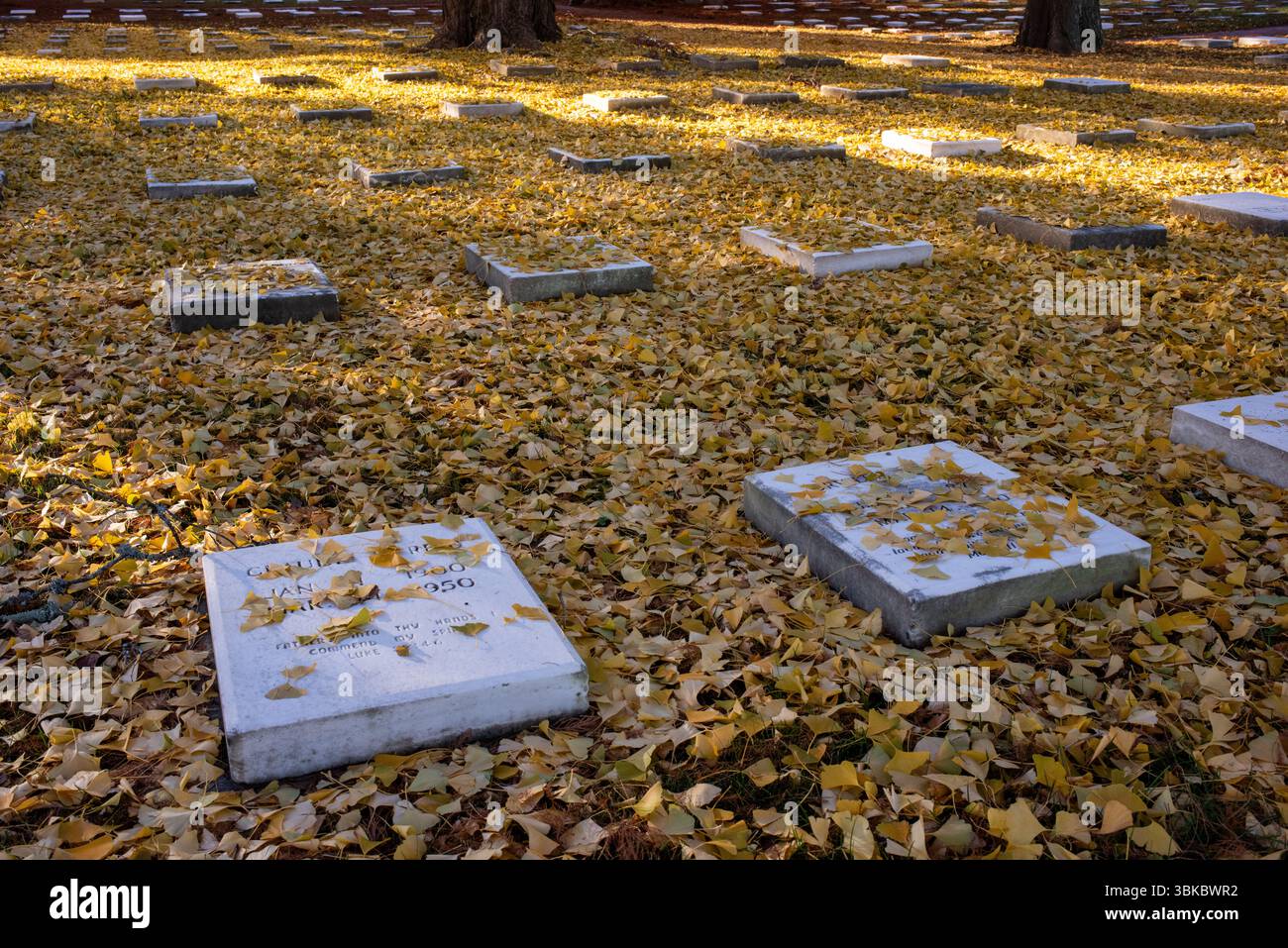 A Moravian church cemetery still being used today in historic Old Salem ...