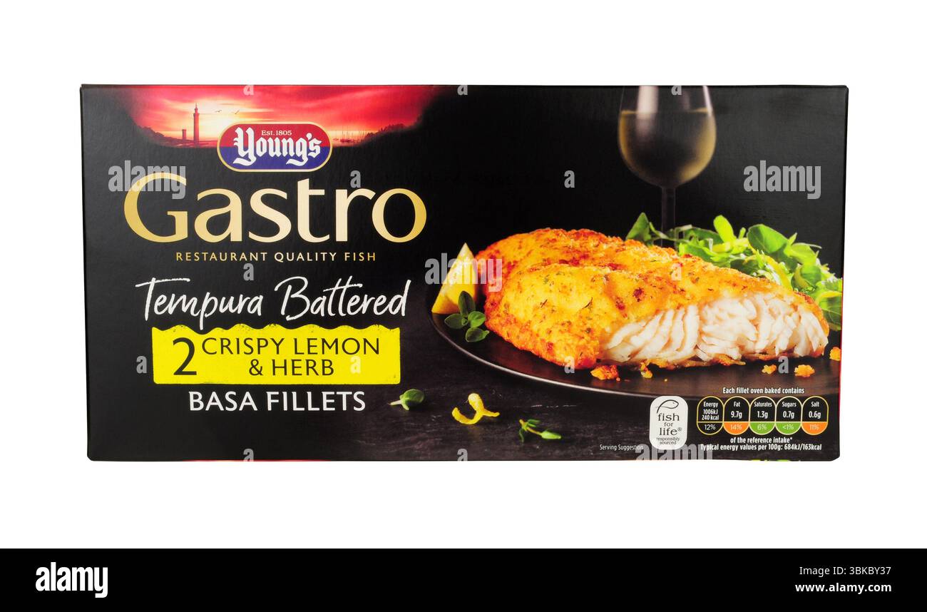 Youngs gastro lemon and herb tempura battered frozen basa fish fillets ...