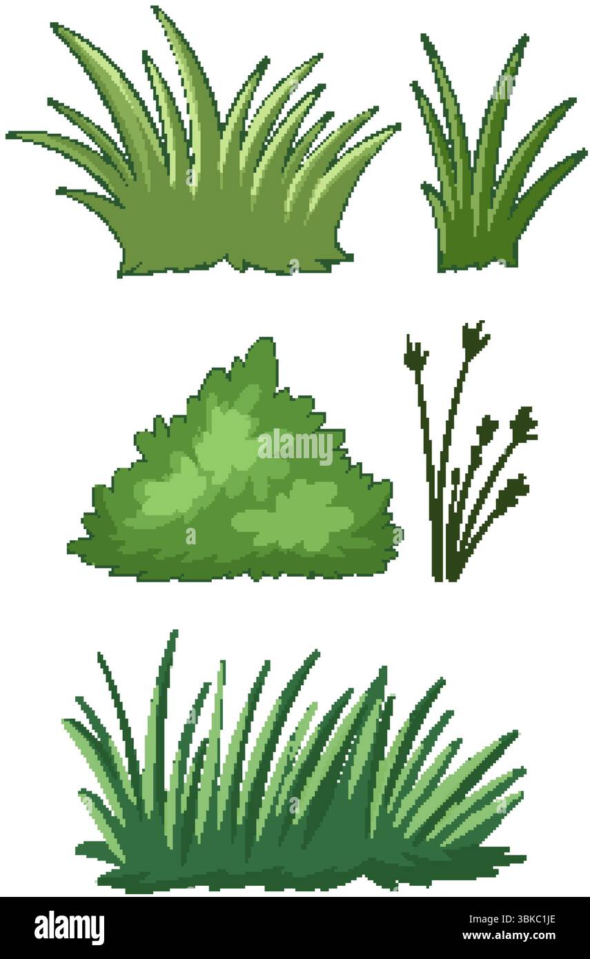 Featuring various shades of green Cut Out Stock Images & Pictures - Alamy