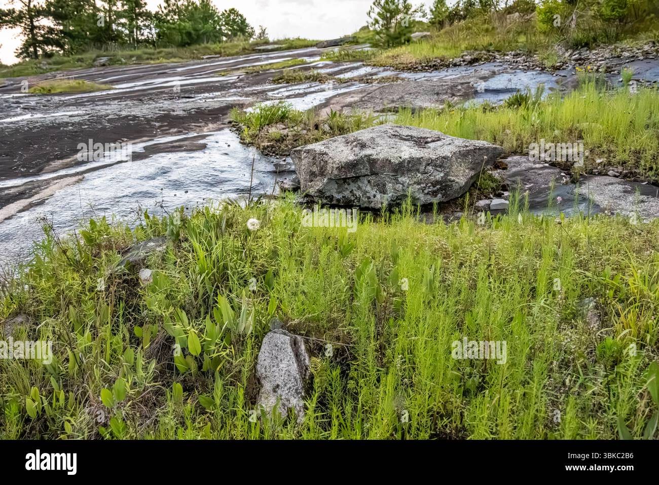 Rock landscape on Stone Mountain, a granite monadnock, near Atlanta ...
