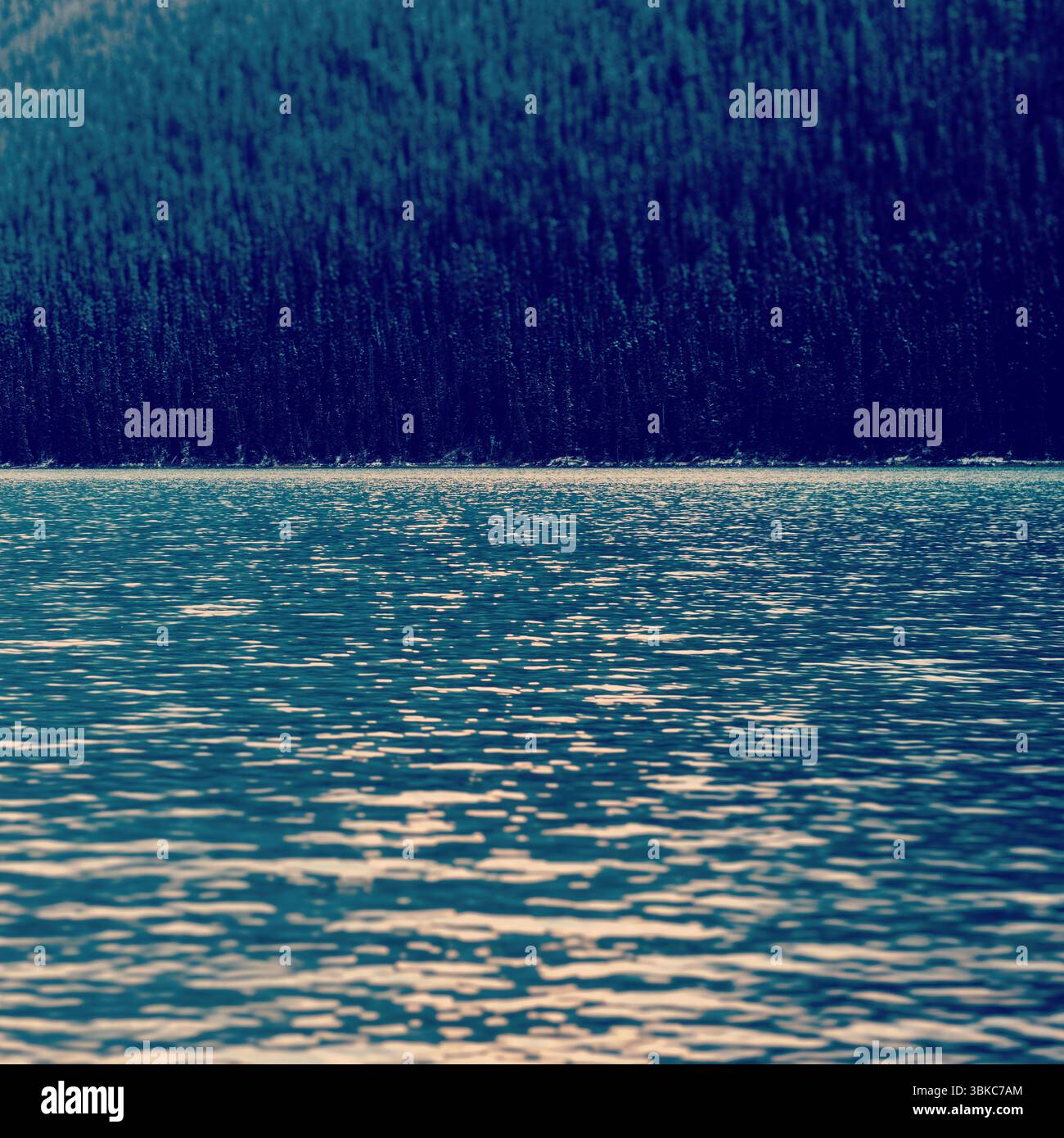 Lake trees panorama view hi-res stock photography and images - Alamy