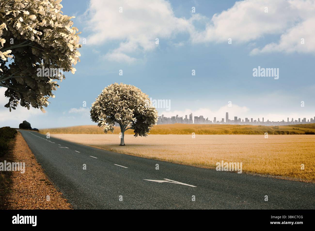 Road leading out to the horizon Stock Photo - Alamy