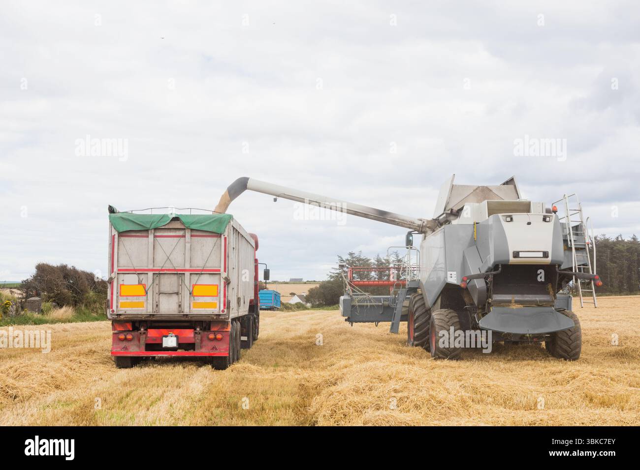 Modern combine harvester in field hi-res stock photography and images ...