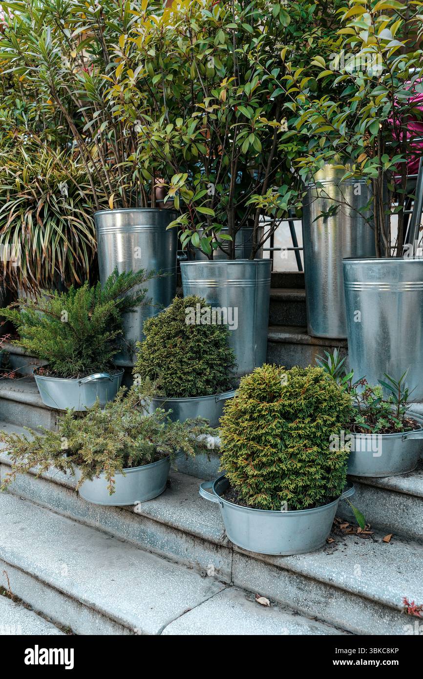 terrace garden setup