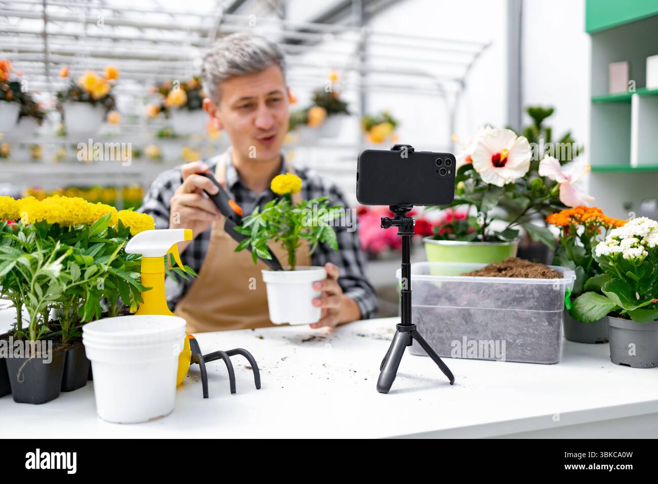 Closeup professional caucasian gardener hi-res stock photography and ...