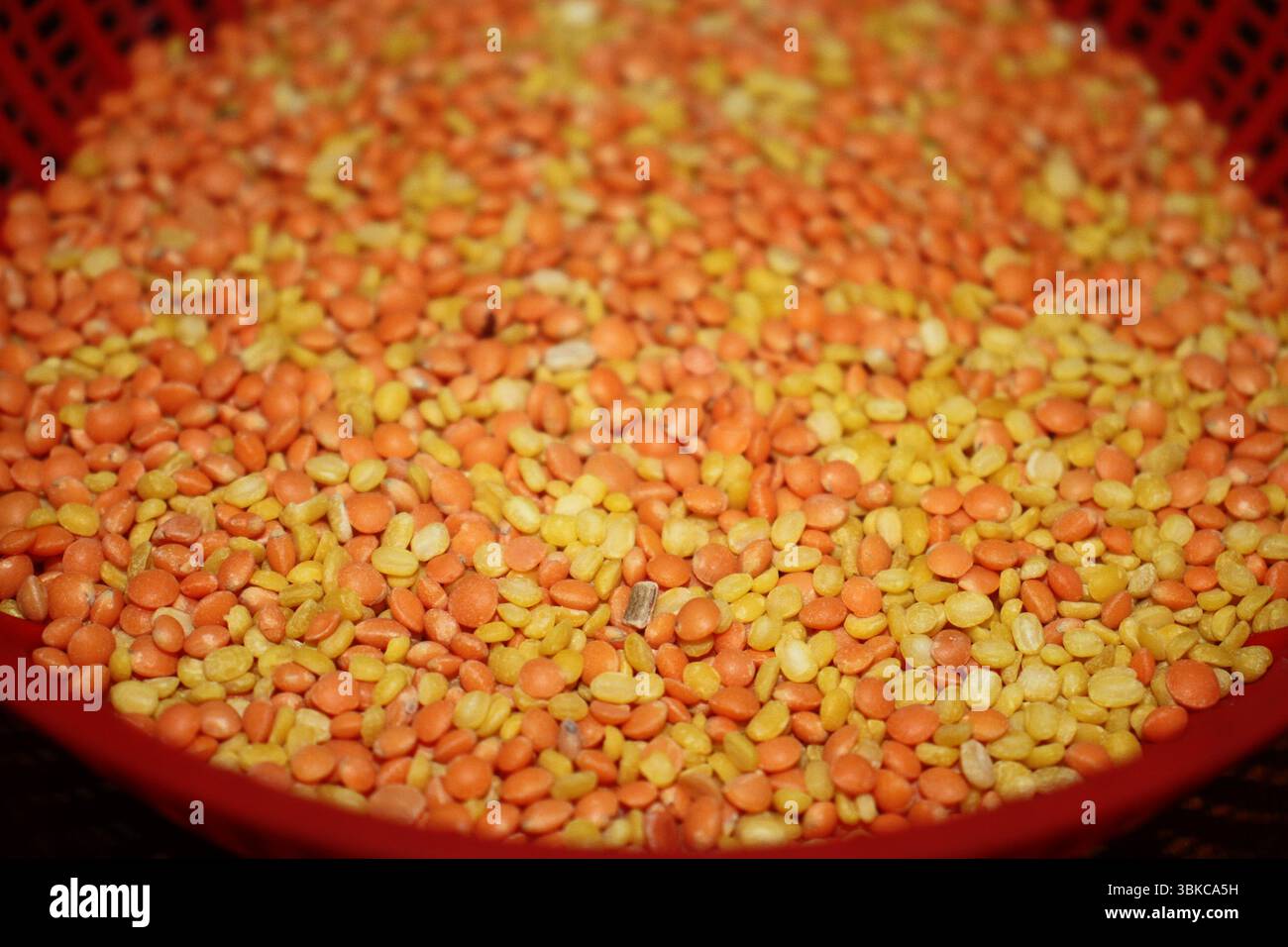 Vibrant mix lentils beans seeds hi-res stock photography and images - Alamy