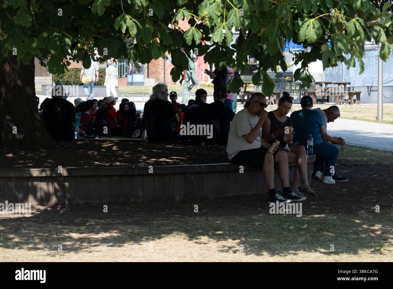 People sitting in the shade of a Horse Chestnut tree on a hot day ...