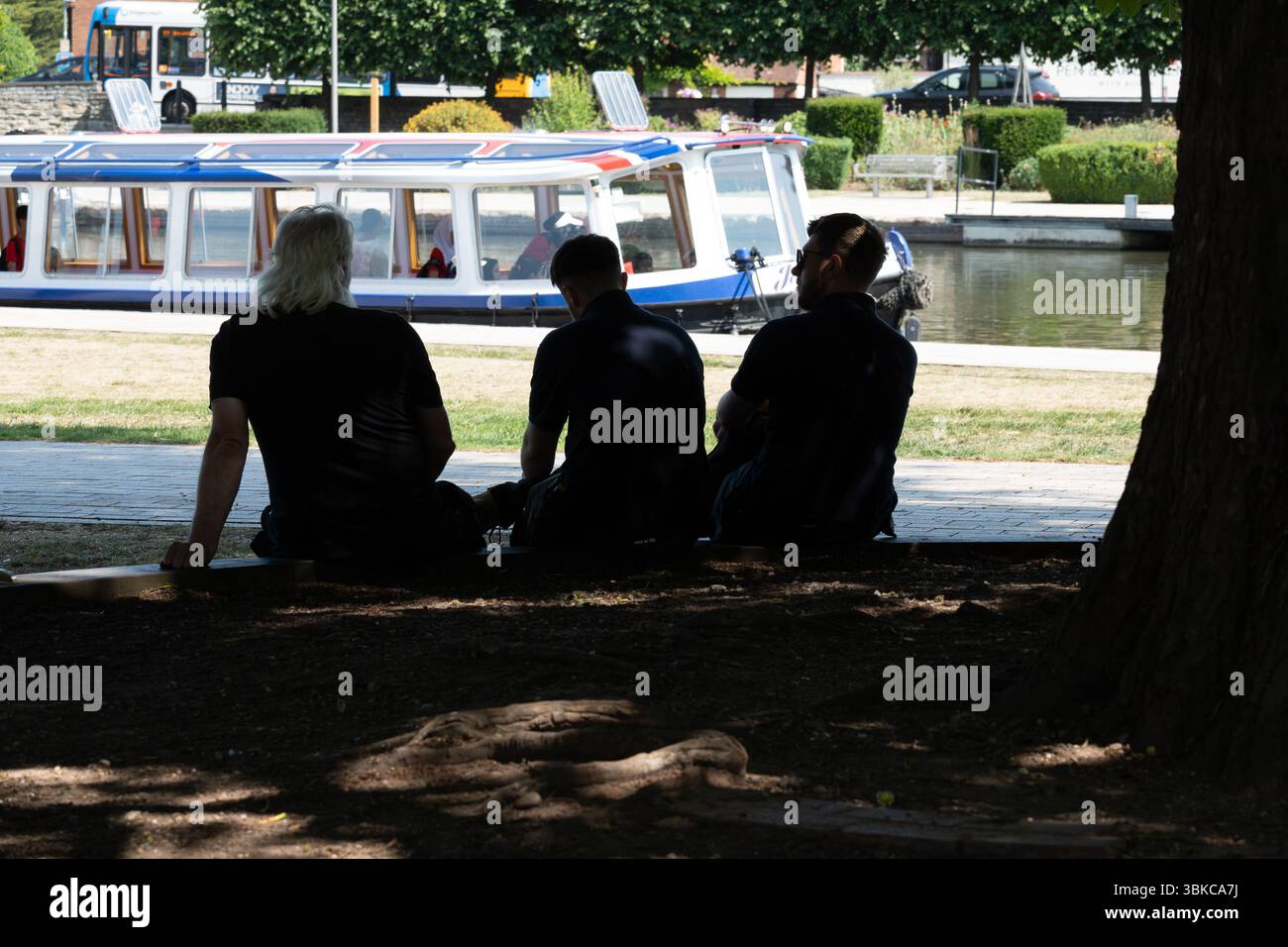 People sitting in the shade of a Horse Chestnut tree on a hot day ...