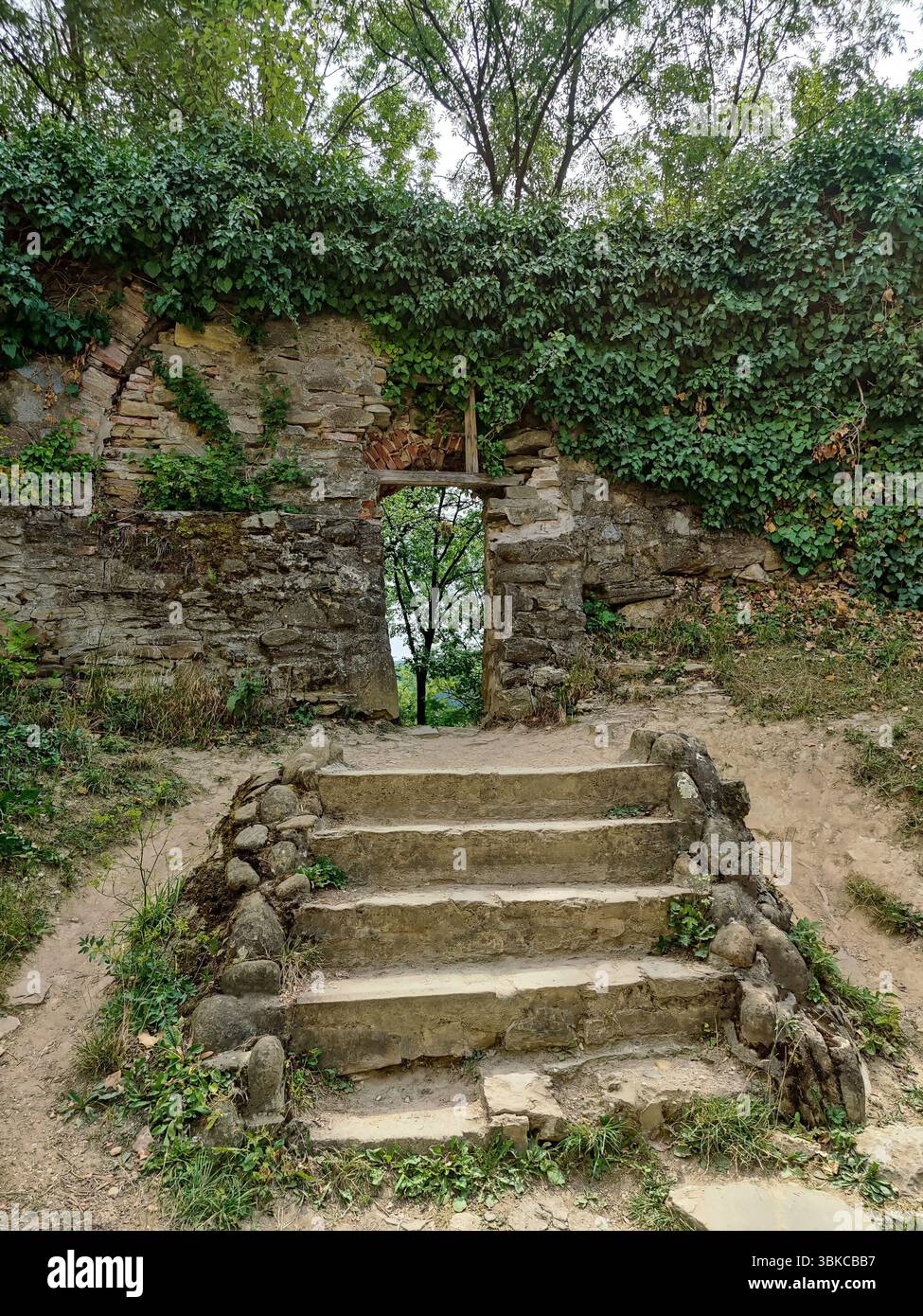 Old stone steps partially hi-res stock photography and images - Alamy