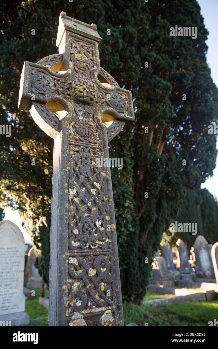 Tombstone by tree at graveyard Stock Photo - Alamy