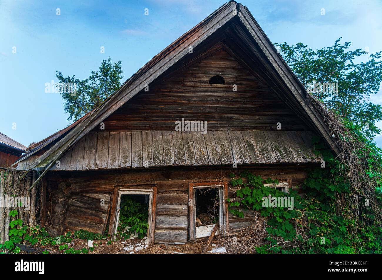 A crumbling wooden house. Russian village. Wooden house overgrown with ...