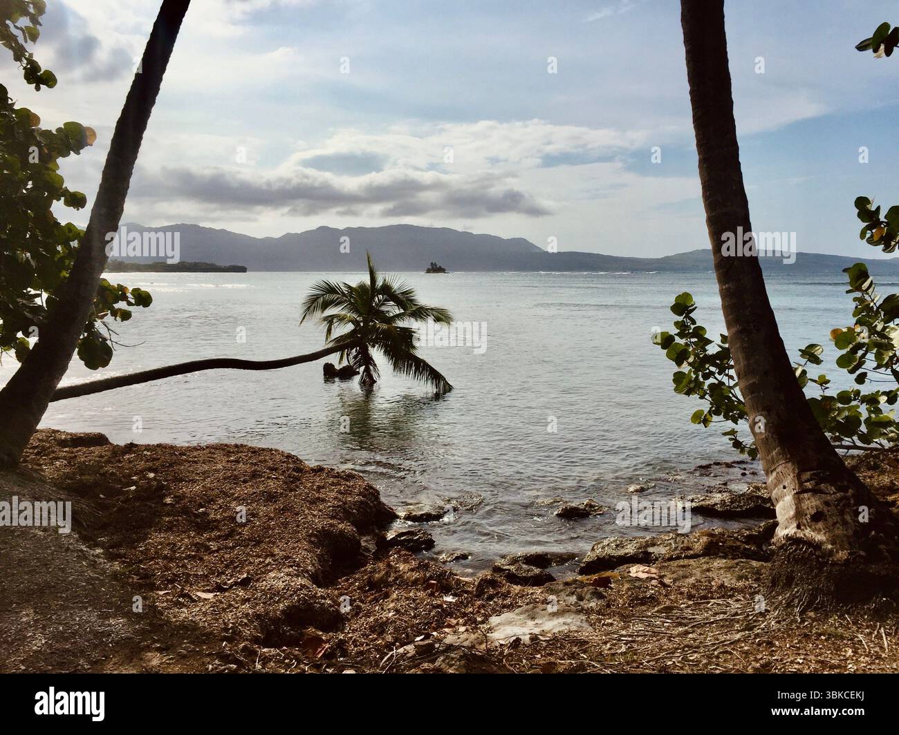 Samana bay dominican republic hi-res stock photography and images - Alamy