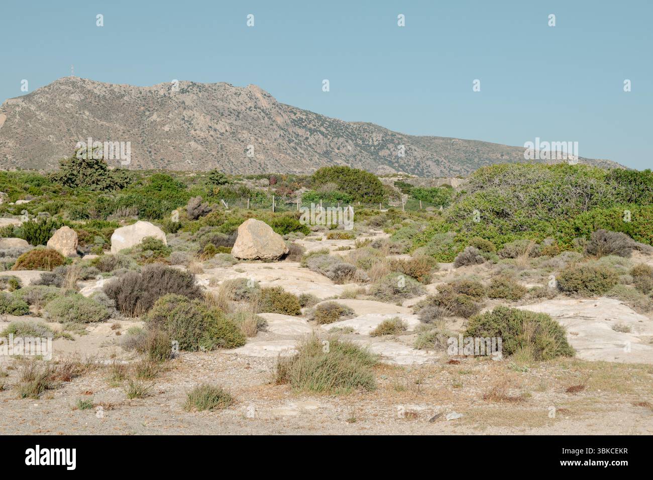 Mountainous Greek Landscape with Wild Herbs and Rocks - Natural Rural ...