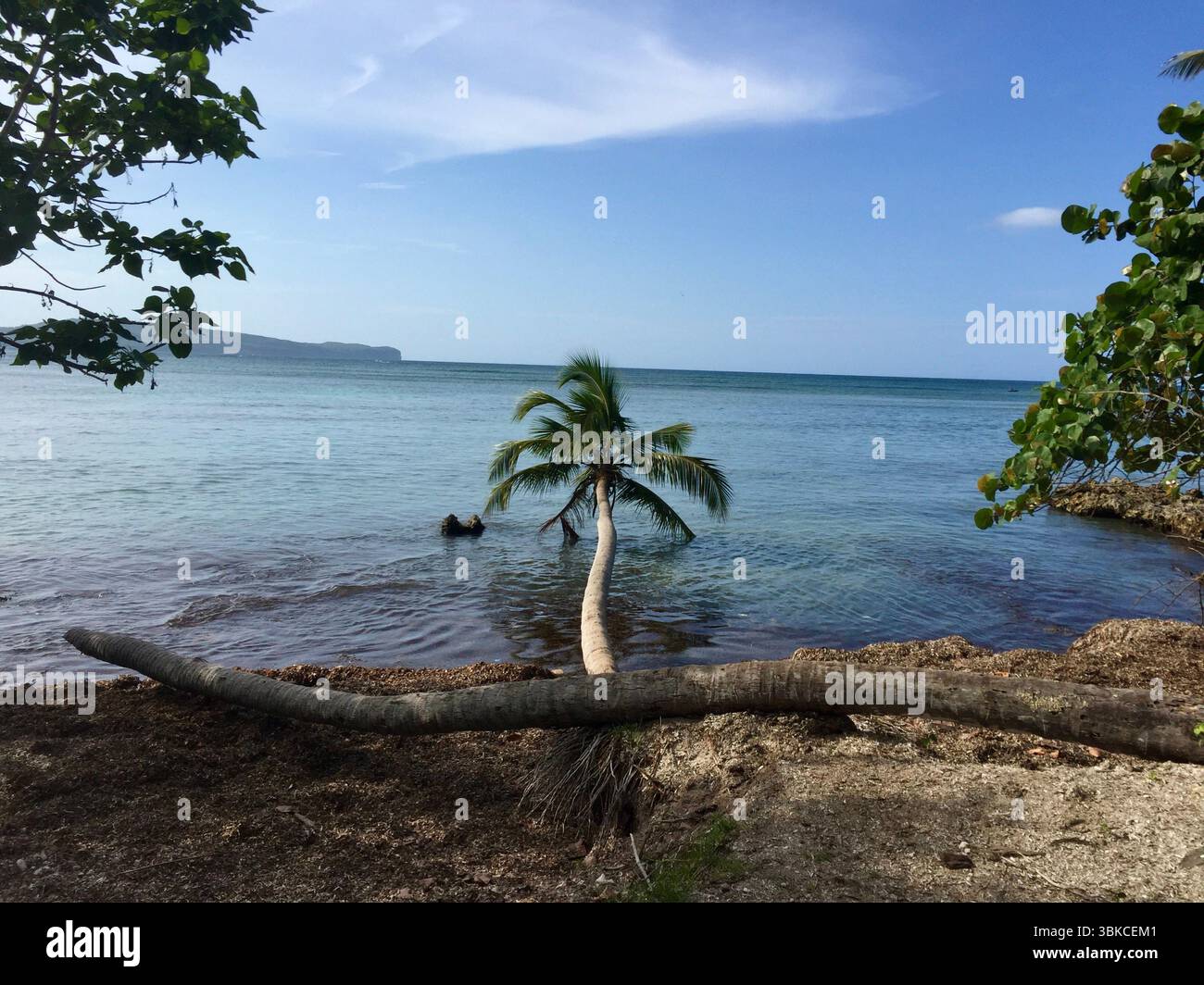 Samana Bay: Caribbean Paradise of Untouched Beauty, Dominican Republic ...