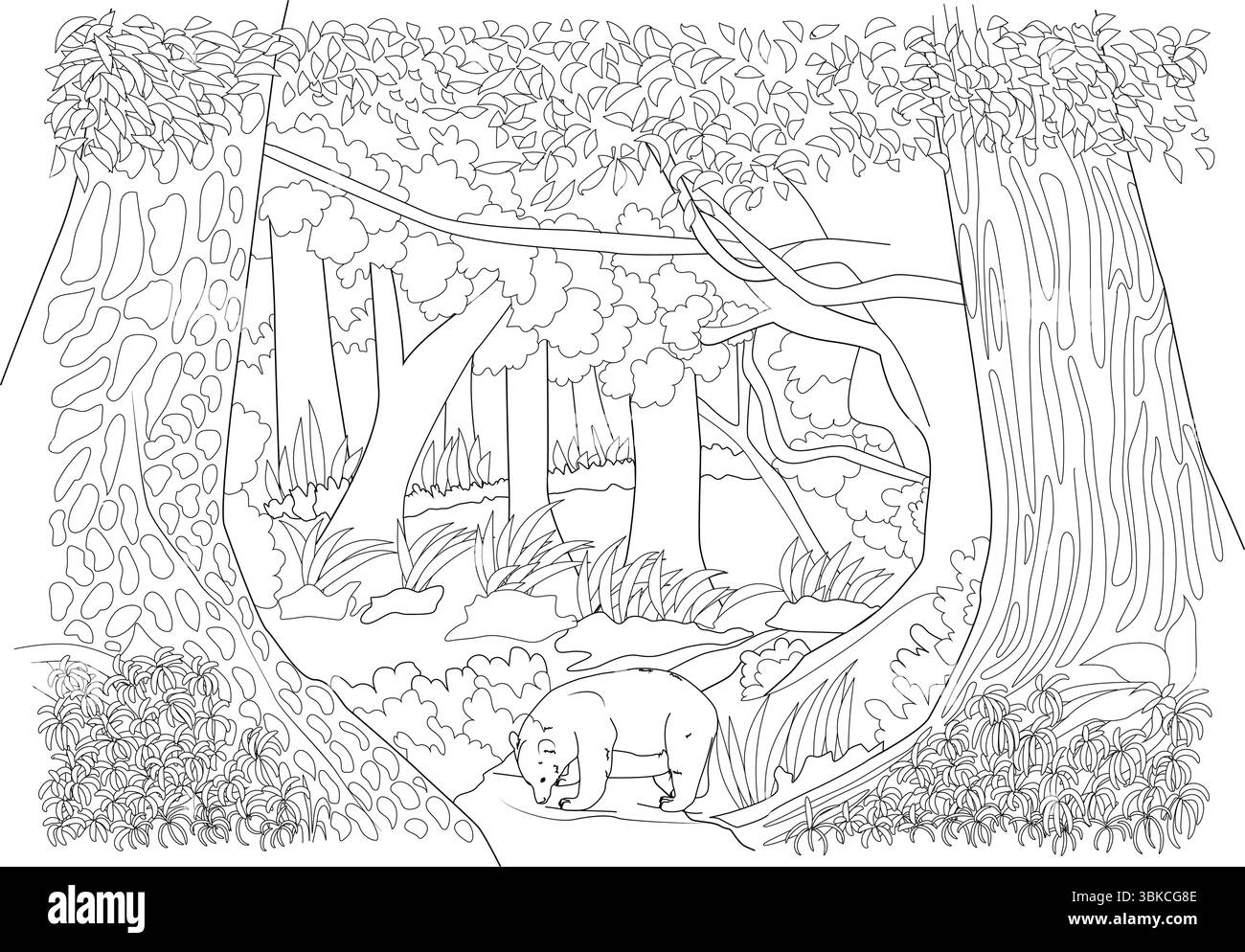 Wilderness coloring pages Black and White Stock Photos & Images - Alamy