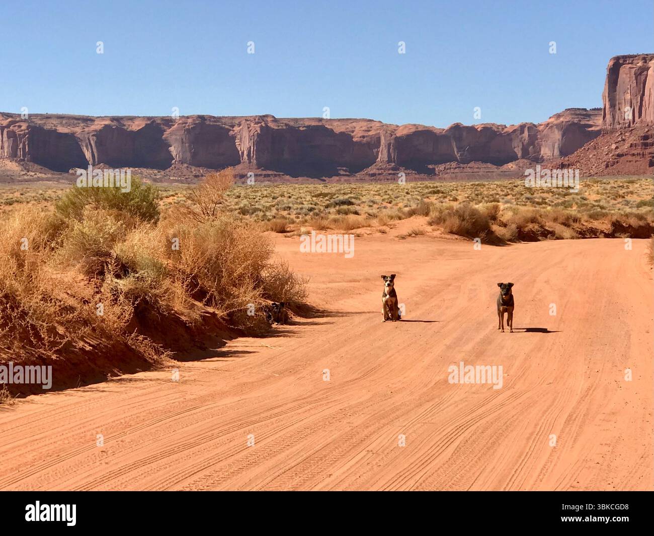 Red desert valley road hi-res stock photography and images - Alamy