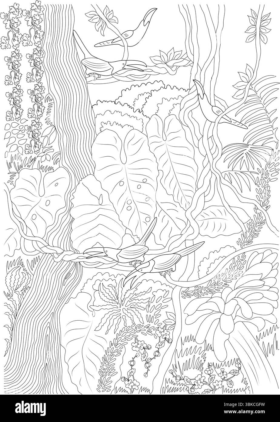 Dense jungle scene featuring tall hi-res stock photography and images ...