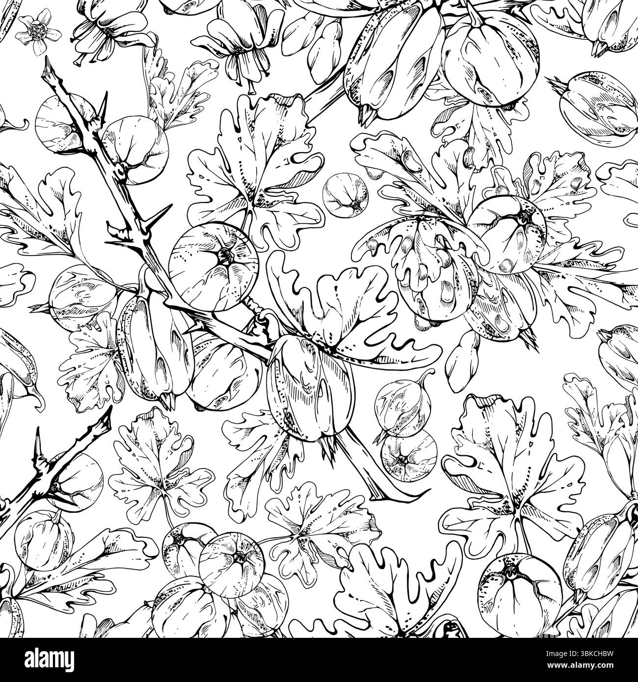 Gooseberry craft Cut Out Stock Images & Pictures - Alamy