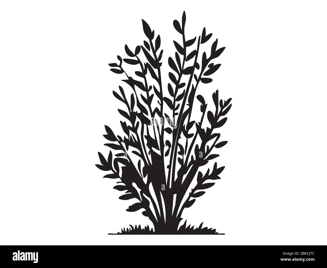 Tall plant life Black and White Stock Photos & Images - Alamy