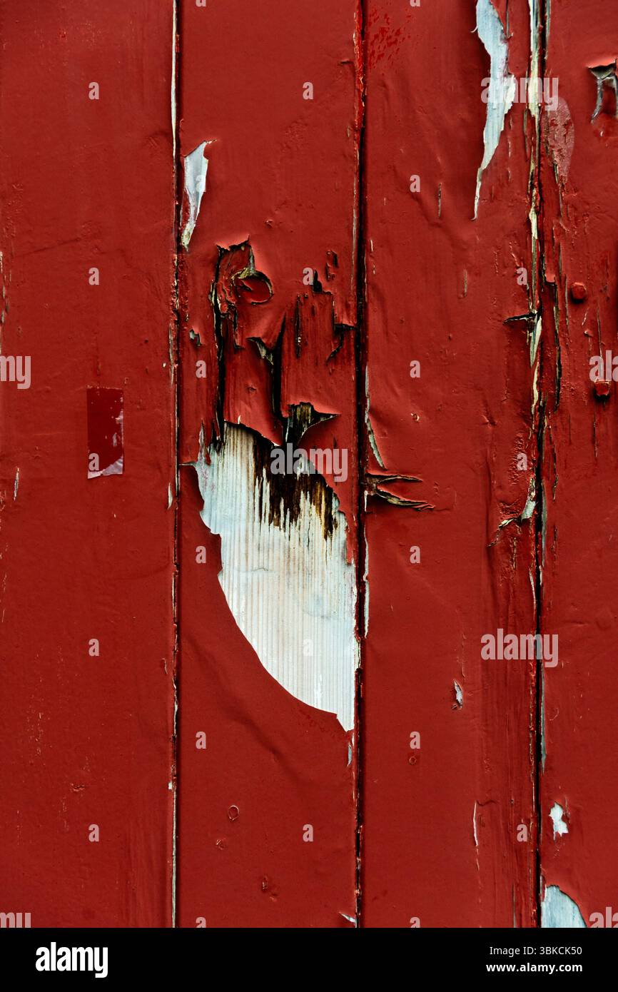 A close-up view captures the peeling red paint on a wooden surface ...