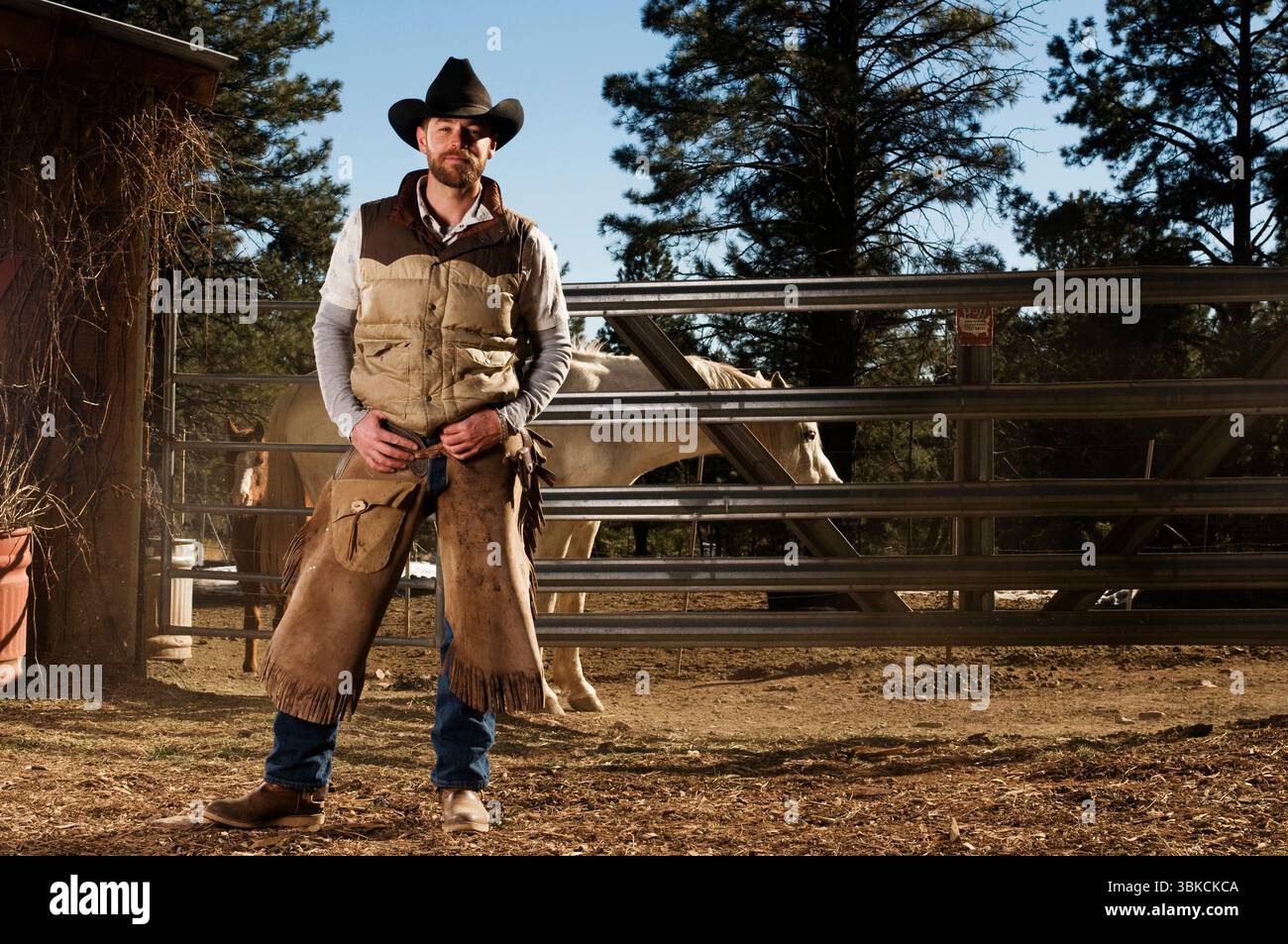 Portrait of a male cowboy, dressed in western attire and a cowboy hat ...