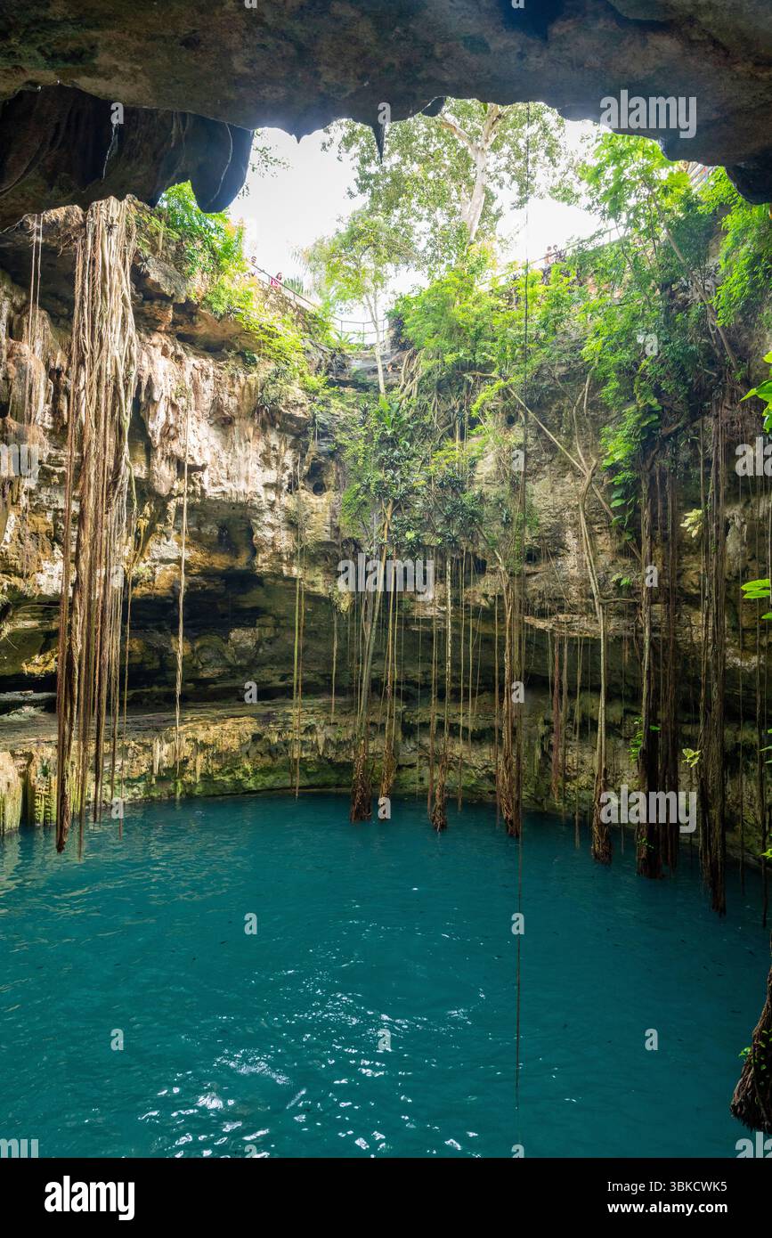 Cenote Oxman crystal clear turquoise water with limestone walls and ...