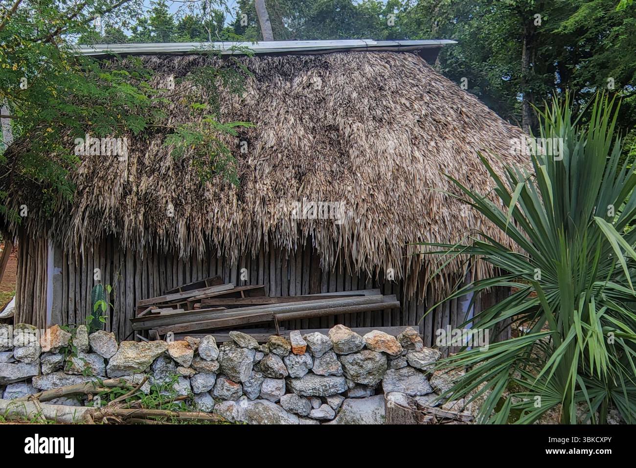 Traditional Maya house with thatched palm roof and stone walls in ...