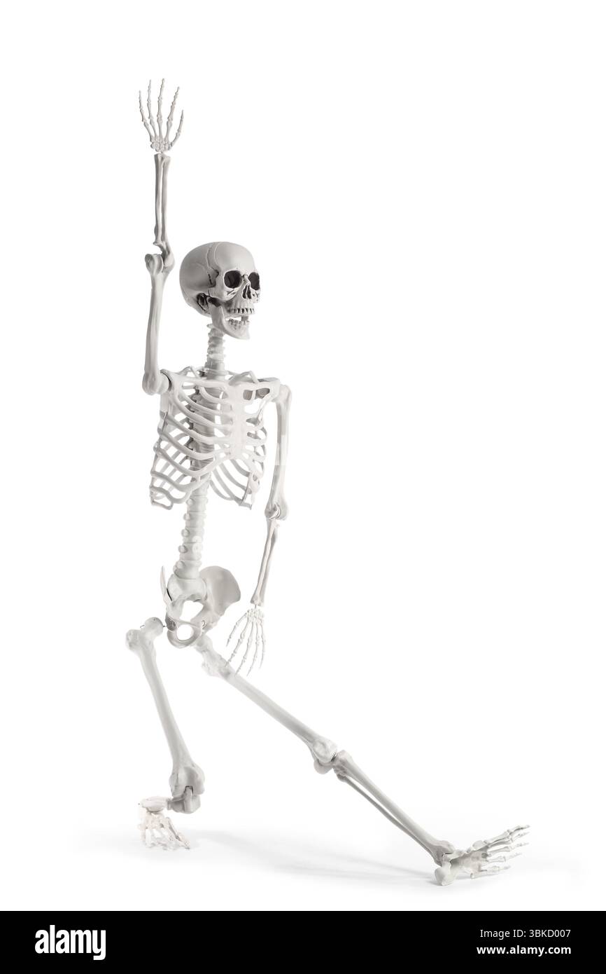 Funny human skeleton dancing on white background Stock Photo - Alamy