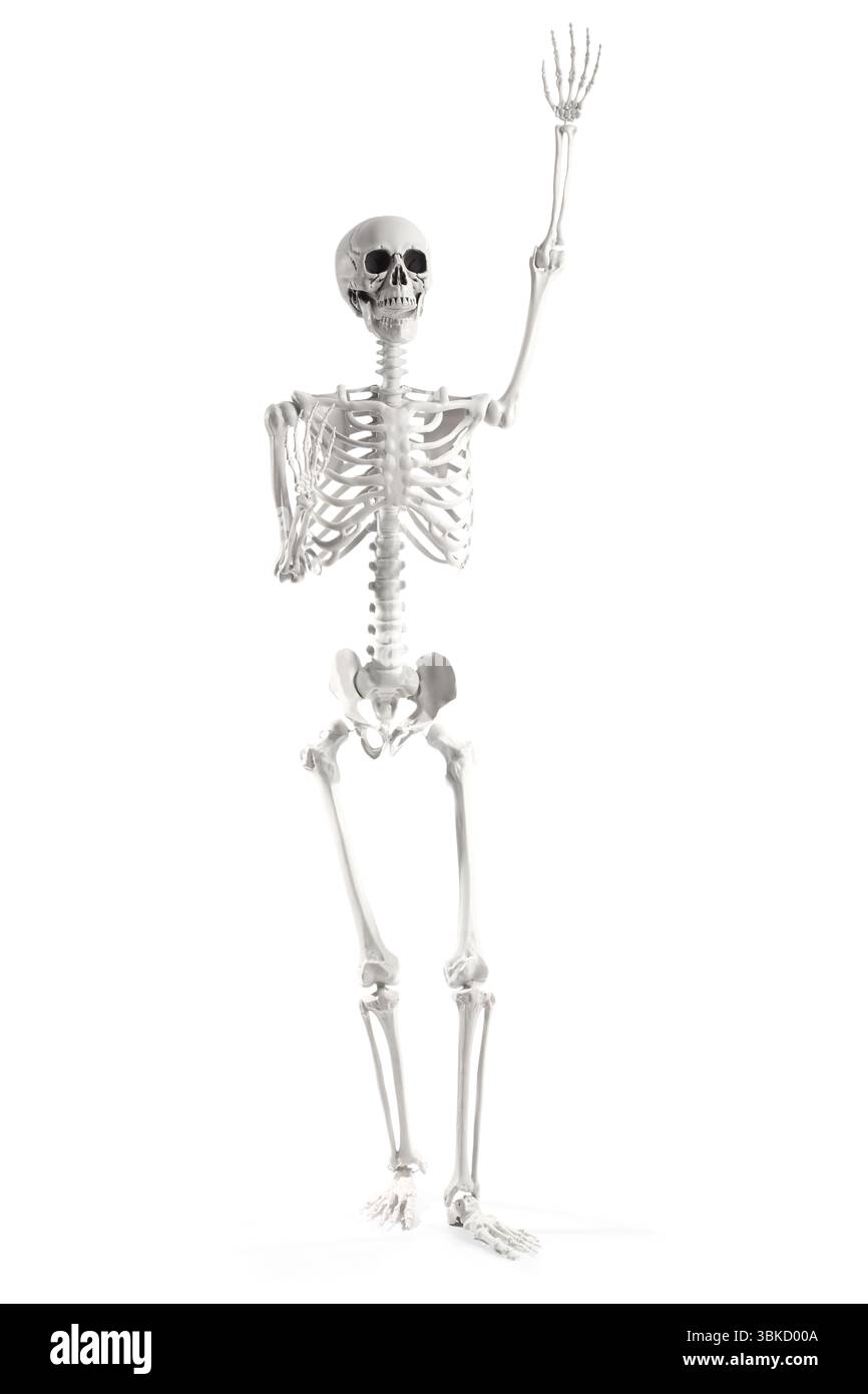 Friendly skeleton hi hi-res stock photography and images - Alamy