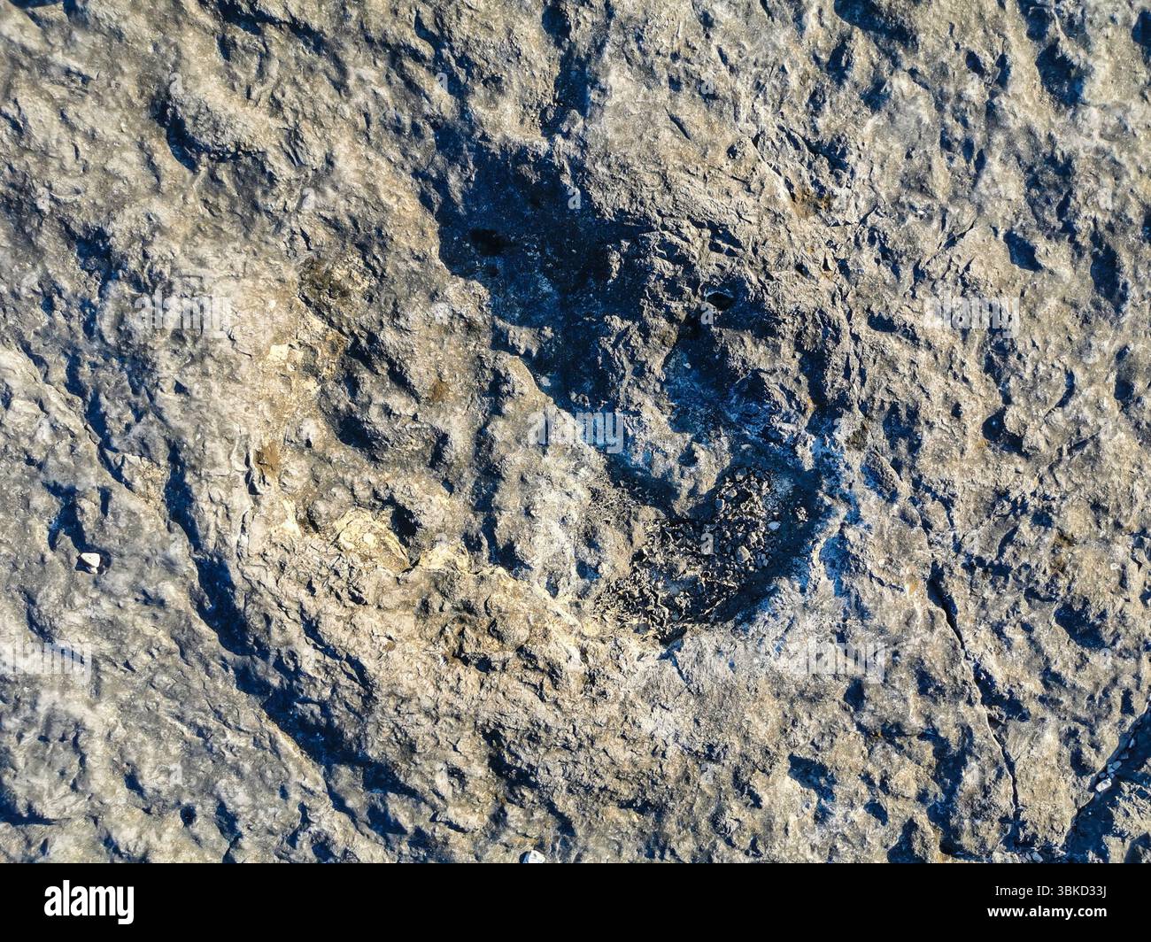 Natural monument of fossil dinosaur footprints in Portugal. Pedagogical ...