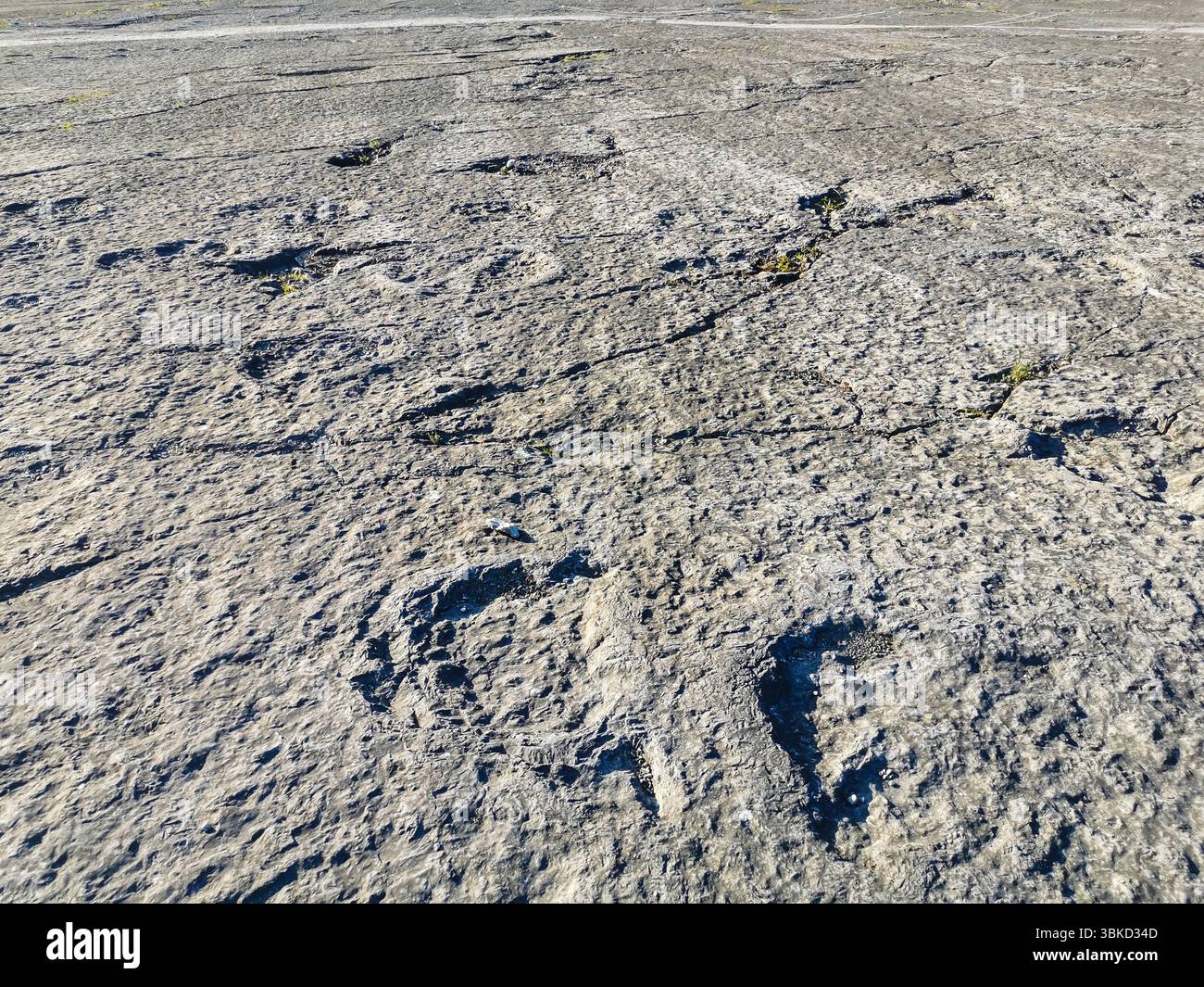 Natural monument of fossil dinosaur footprints in Portugal. Pedagogical ...