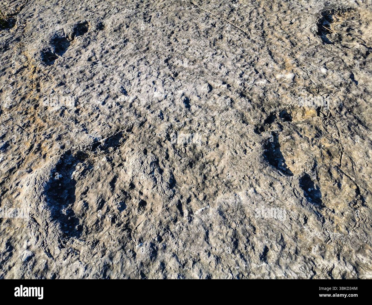 Natural monument of fossil dinosaur footprints in Portugal. Pedagogical ...