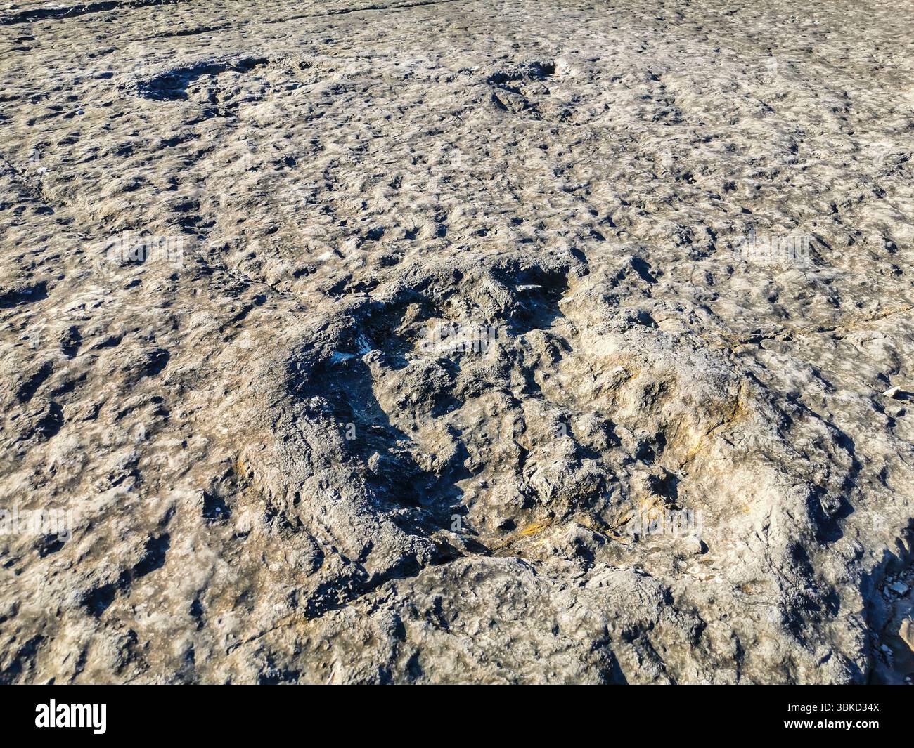 Natural monument of fossil dinosaur footprints in Portugal. Pedagogical ...