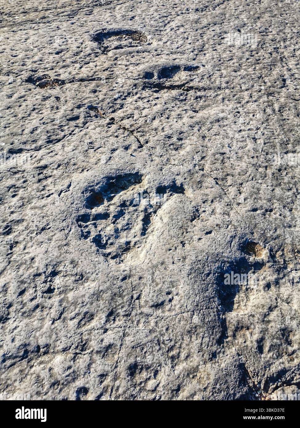 Natural monument of fossil dinosaur footprints in Portugal. Pedagogical ...