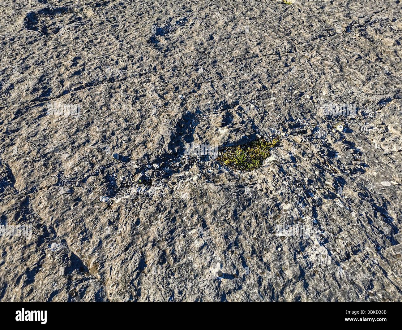 Natural monument of fossil dinosaur footprints in Portugal. Pedagogical ...
