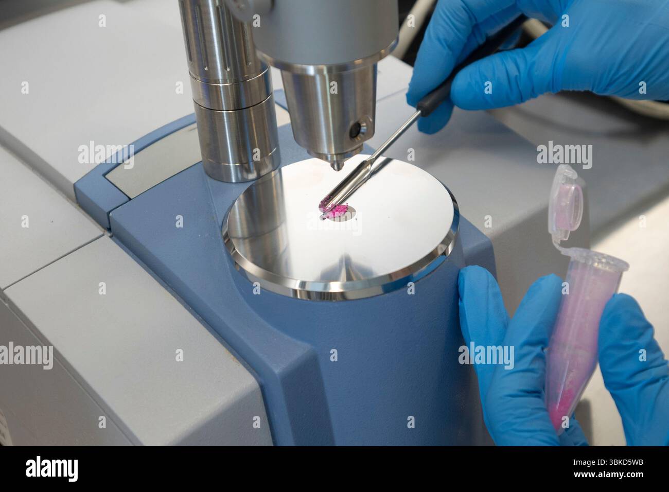 20 June 2025, Mecklenburg-Western Pomerania, Lärz: Anja Gummesson from ...