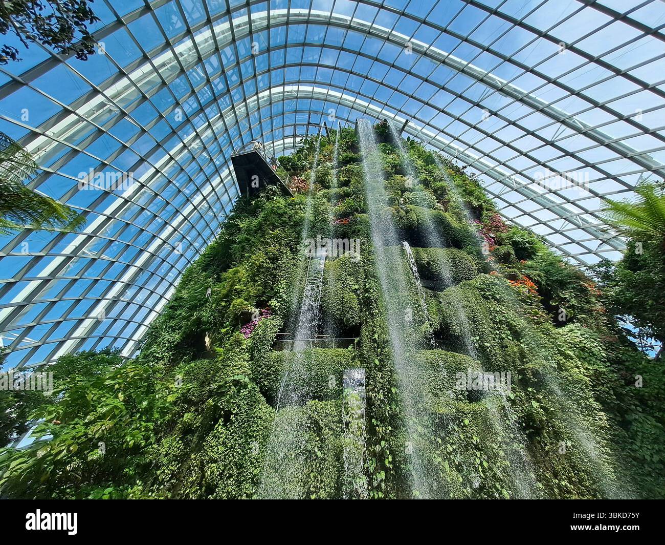 Cloud Forest Singapore Stock Photo - Alamy