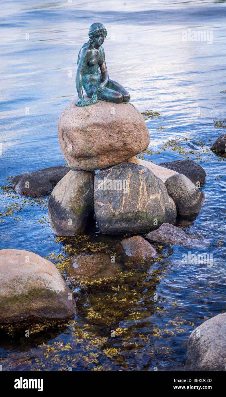 The Little Mermaid is a bronze statue by Edvard Eriksen, depicting a ...