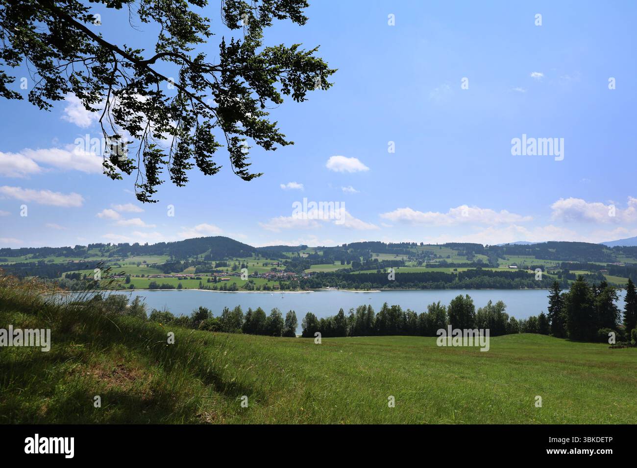 Sulzberg, Germany. 20th June, 2025. The Rottachspeicher reservoir on ...