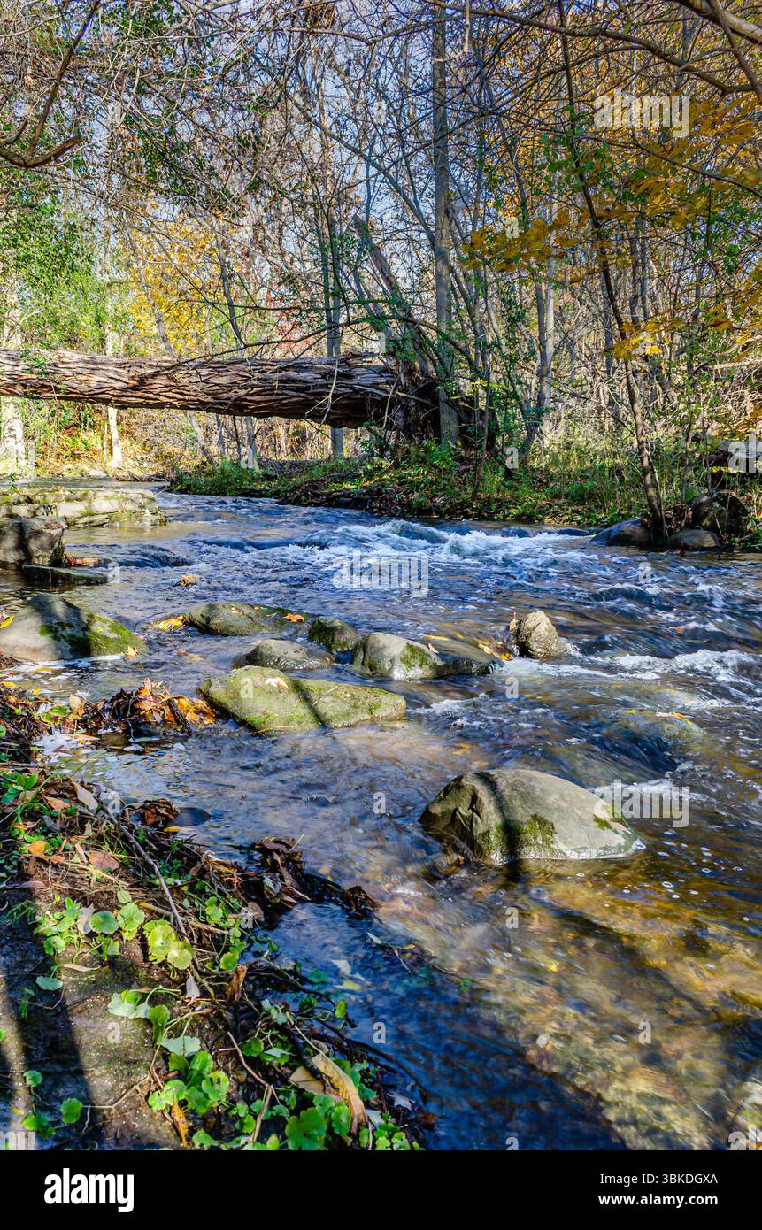 Cascade flowing under stone hi-res stock photography and images - Alamy